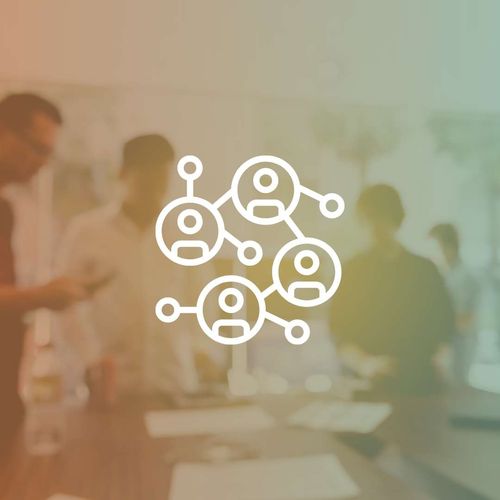 alpha.net | About Us